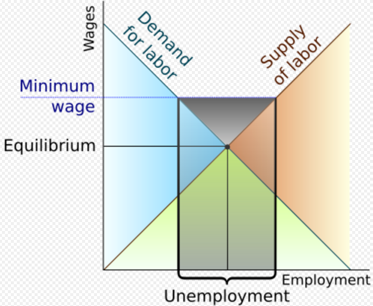 Minimum Wage Encyclopedia MDPI