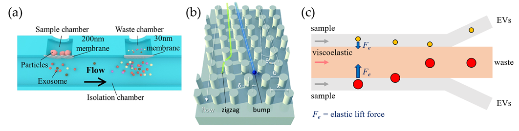 Microfluidic Strategies for Extracellular Vesicle Isolation ...