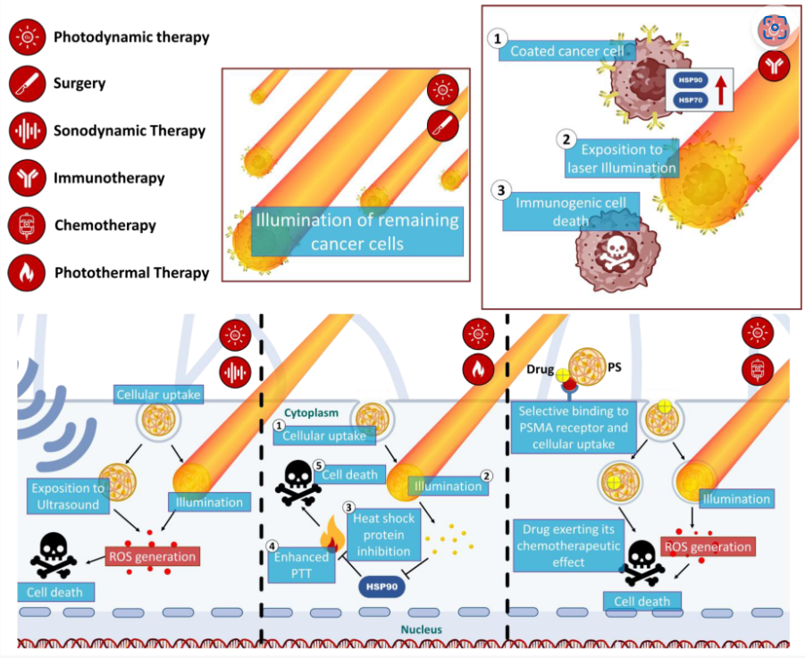 Multimodal Synergistic Therapies | Encyclopedia MDPI