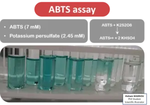 Antioxydant Assays | Encyclopedia MDPI
