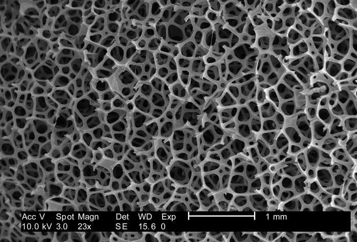 The Fibrous Configuration of a Dry Macrofoam Sponge Swab | Encyclopedia ...