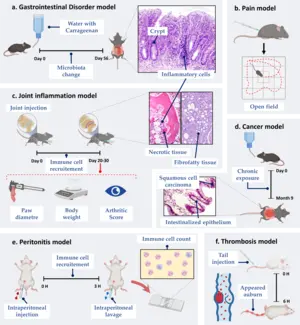 Animal Models | Encyclopedia MDPI