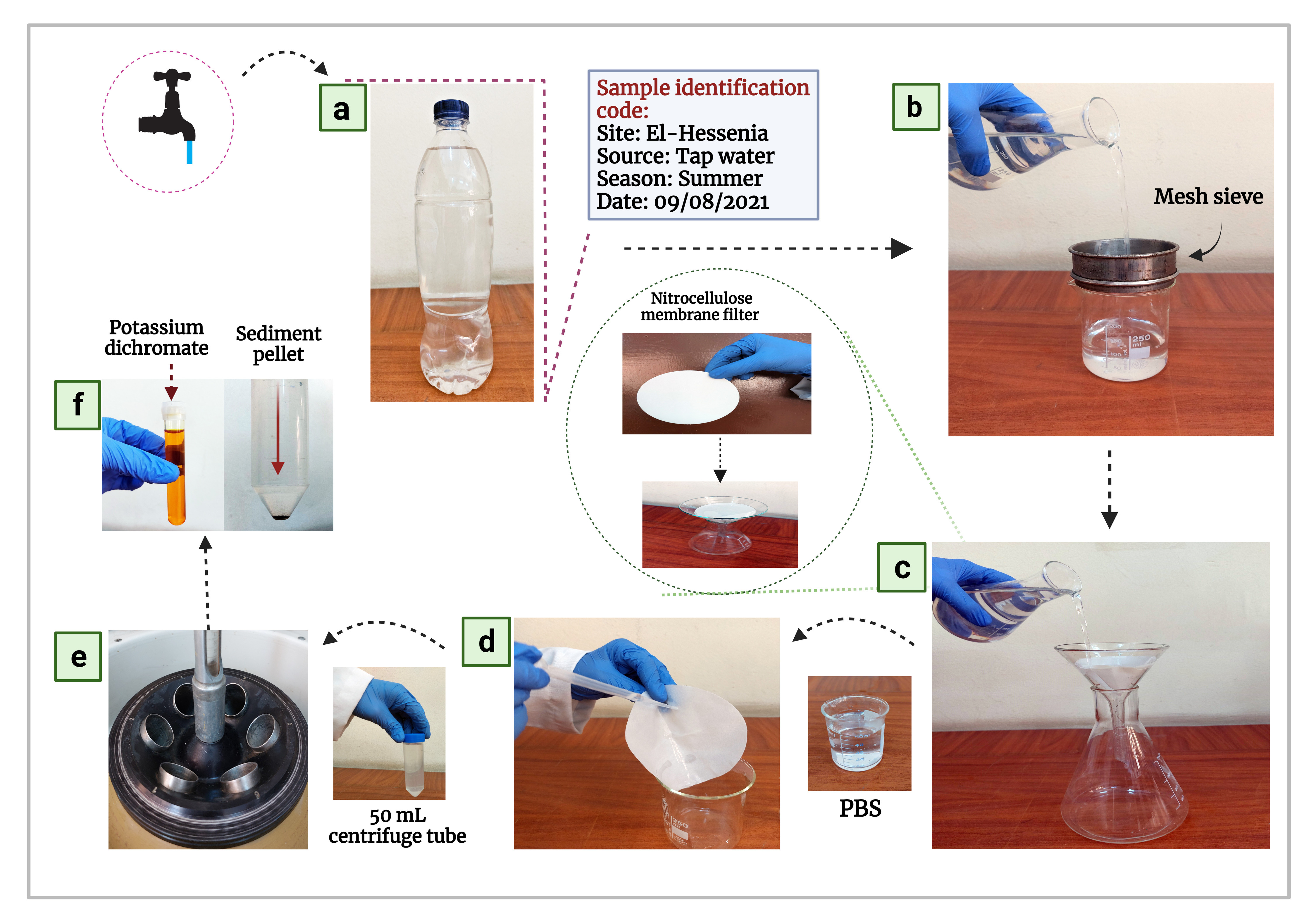 The Membrane Filter Dissolution Method: Water Filtration Steps ...