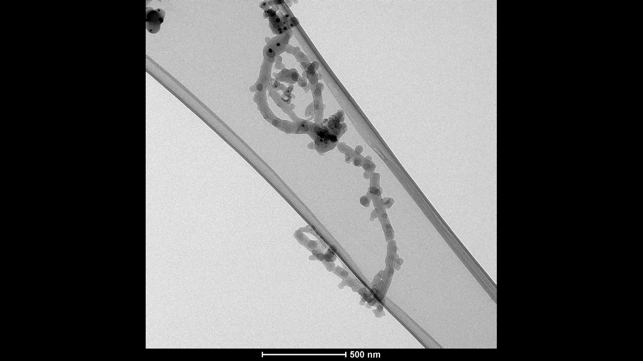 Transmission Electron Microscopy Micrograph of Carbon Nanotubes ...