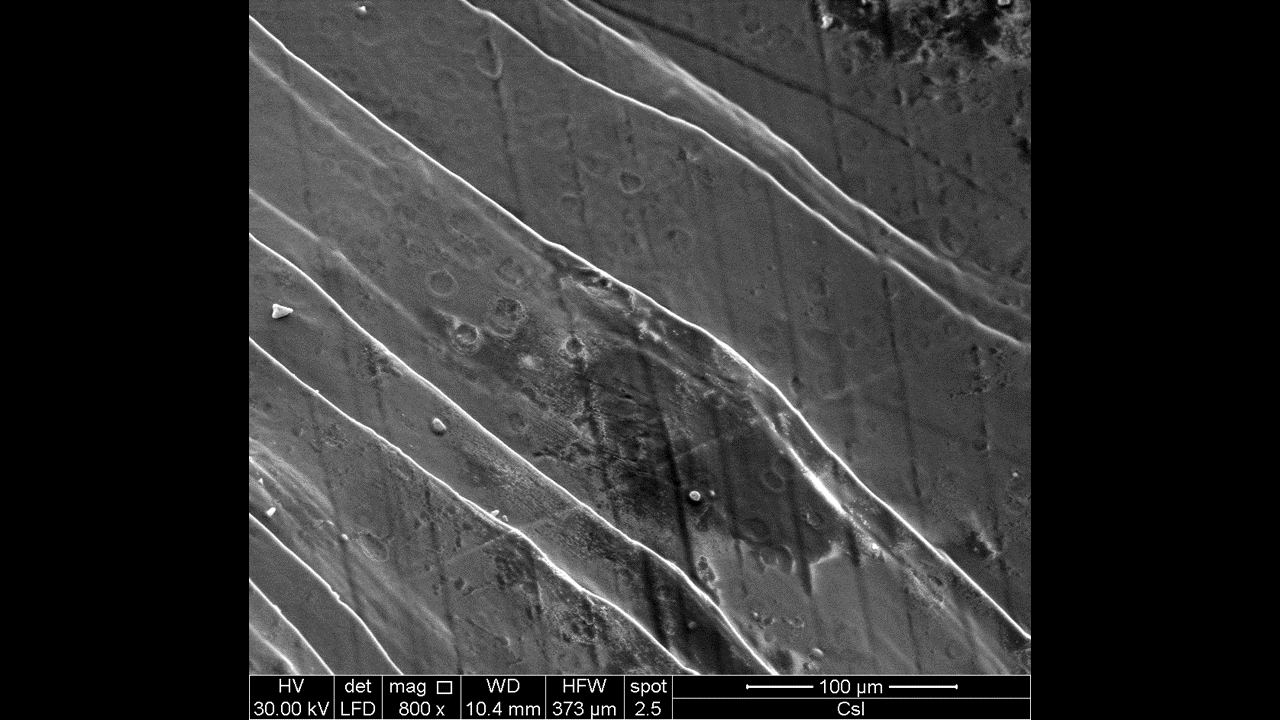 Terraces on the Surface of a CsI Single Crystal | Encyclopedia MDPI