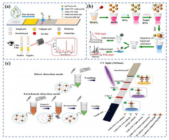 Fluorescence Biosensor for SARS-CoV-2 Diagnosis | Encyclopedia MDPI