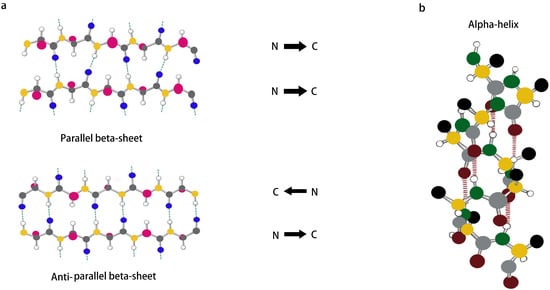 Types of Self-Assembled Polypeptides | Encyclopedia MDPI