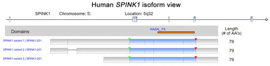 SPINK1 in Cancers | Encyclopedia MDPI