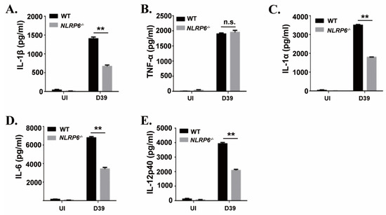 NLRP6 in Streptococcus pneumoniae Infection | Encyclopedia MDPI