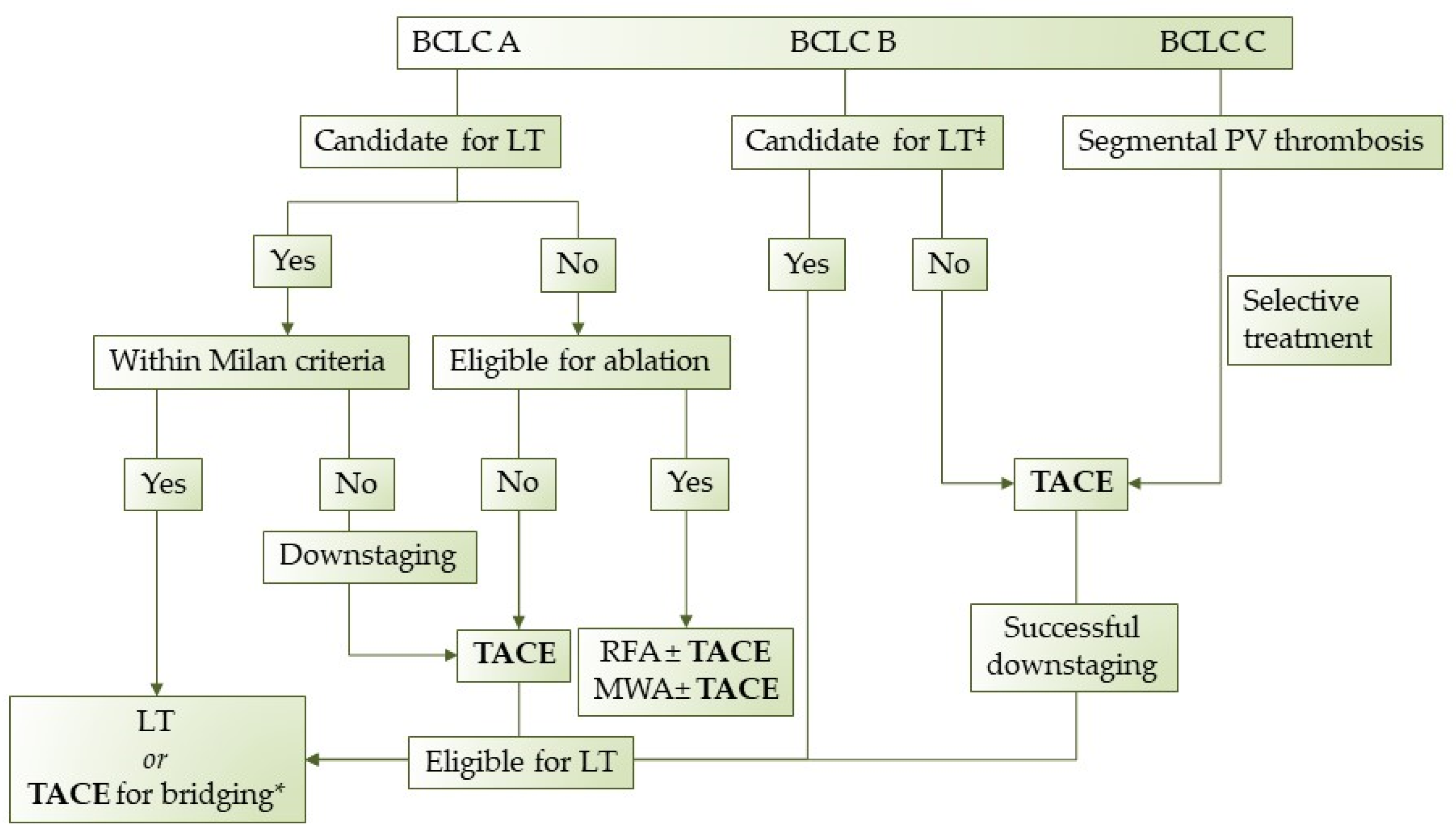 Transarterial Chemoembolization For Hepatocellular Carcinoma Transarterial Chemoembolization For Hepatocellular Carcinoma