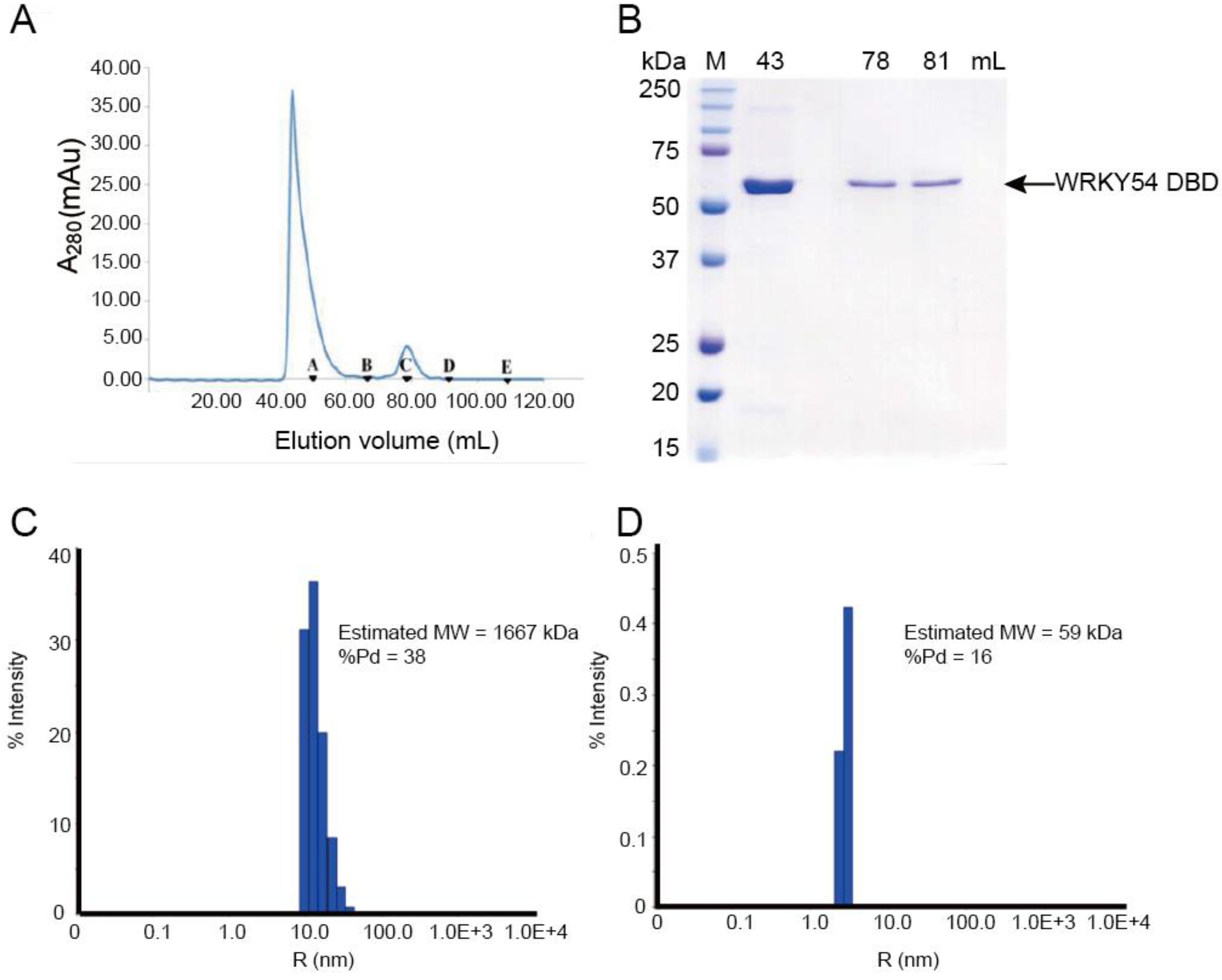 Phylogeny and Binding Ability of WRKY Transcription Factors | Encyclopedia MDPI