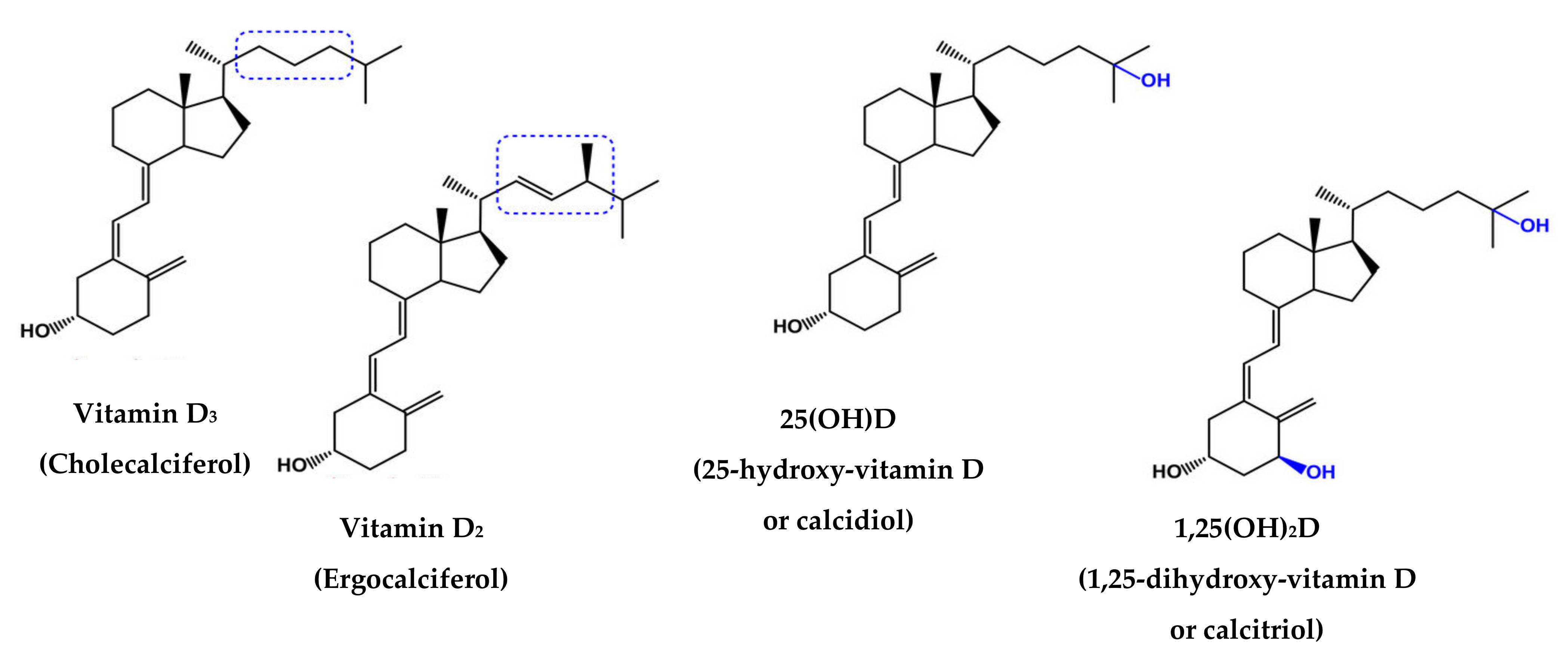 Vitamin D Fortified Beverages Encyclopedia MDPI