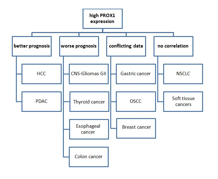 PROX1 Expression in Cancer | Encyclopedia MDPI
