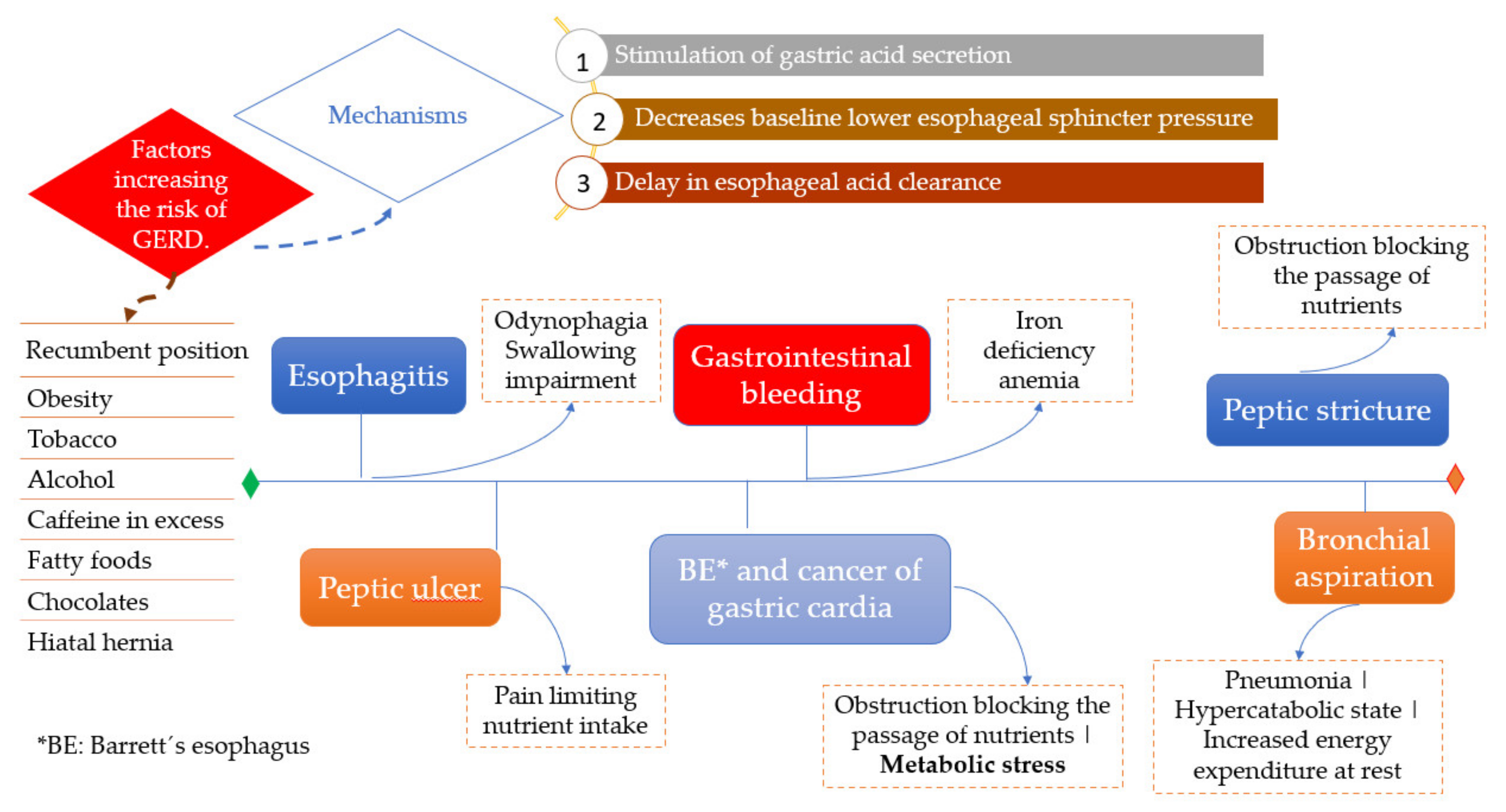 Dietary and Nutritional Support in Esophageal Diseases | Encyclopedia MDPI