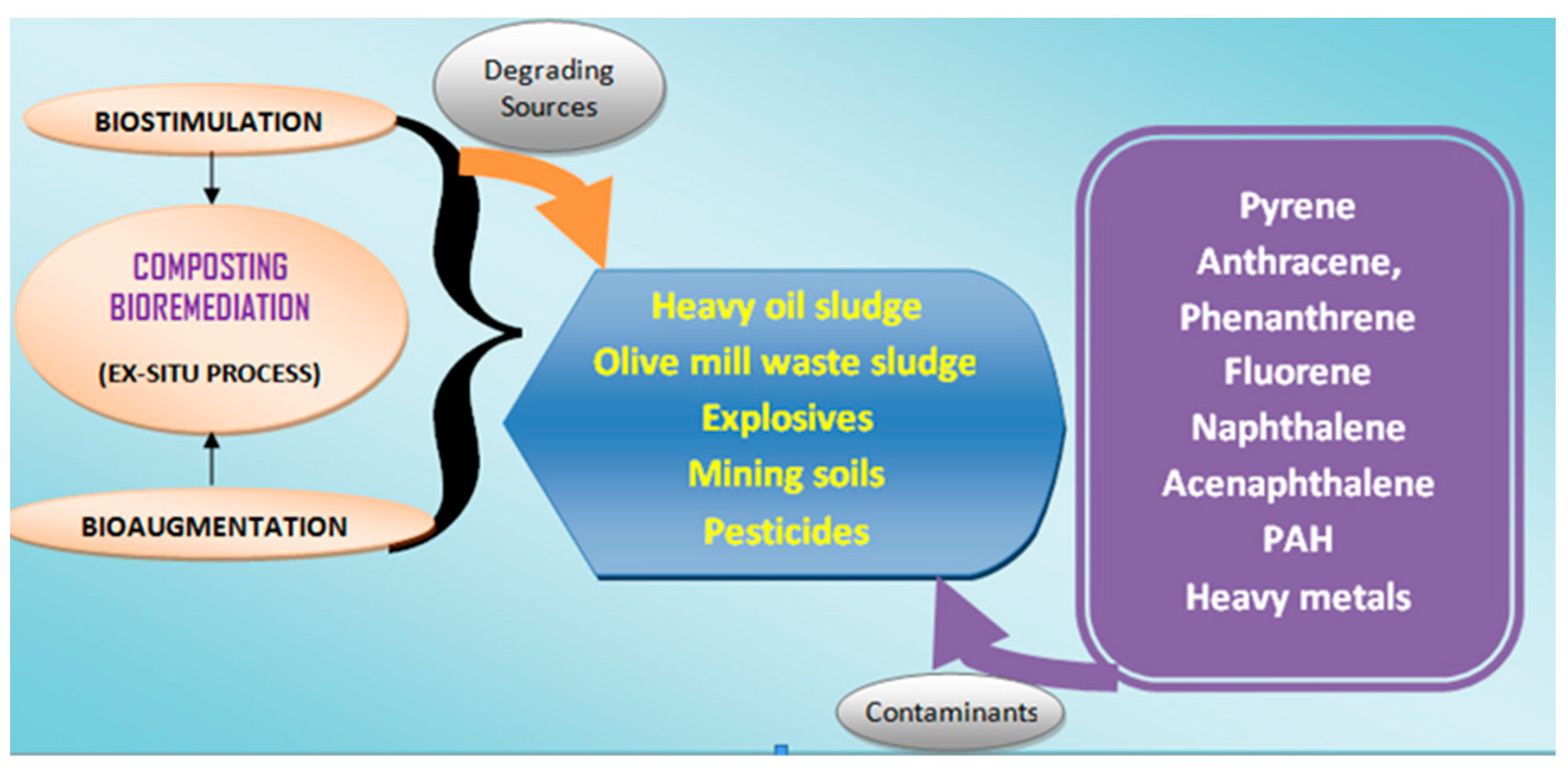 Bioremediation Process
