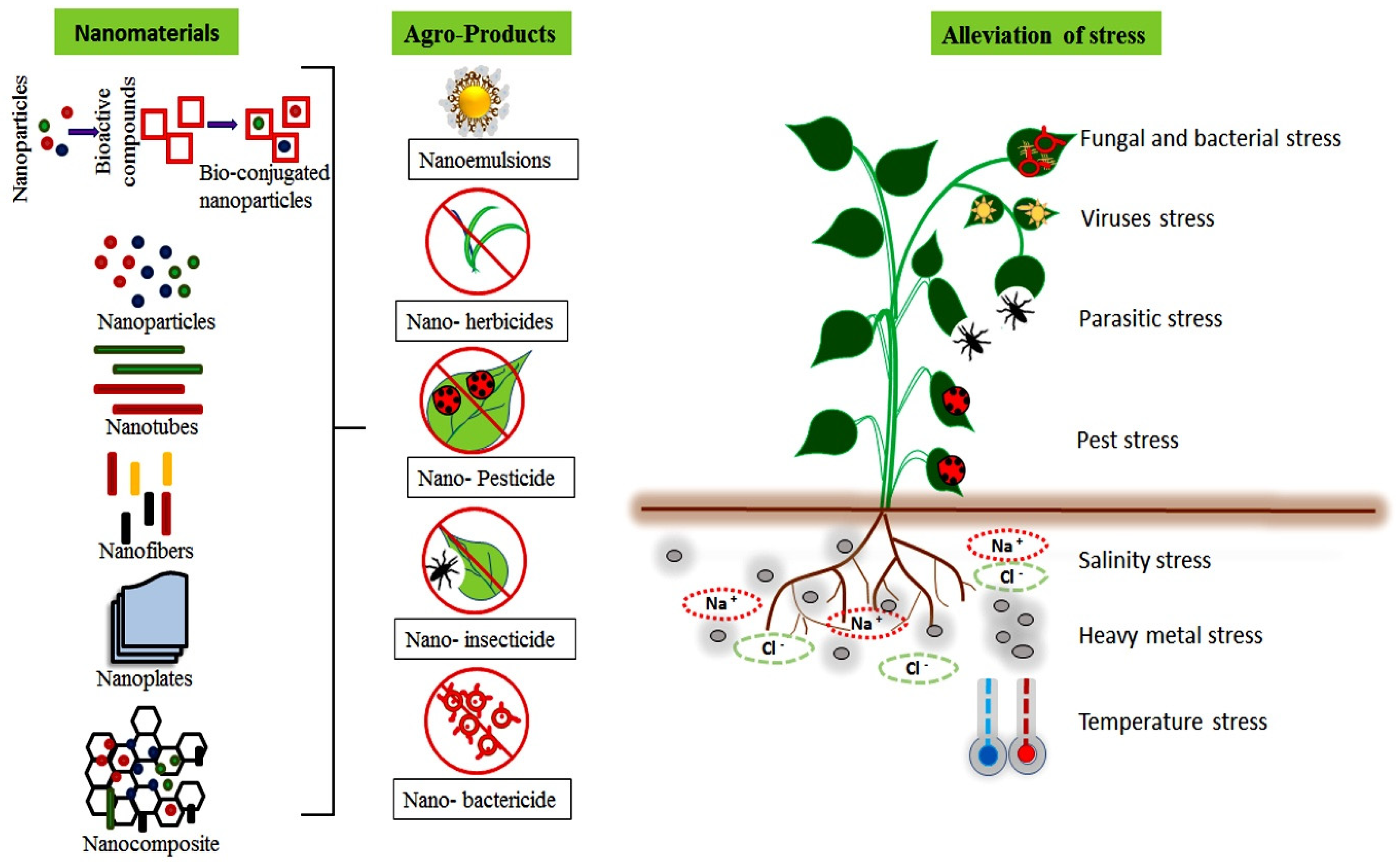 Biogenic Nanoscale Agro-Materials | Encyclopedia MDPI