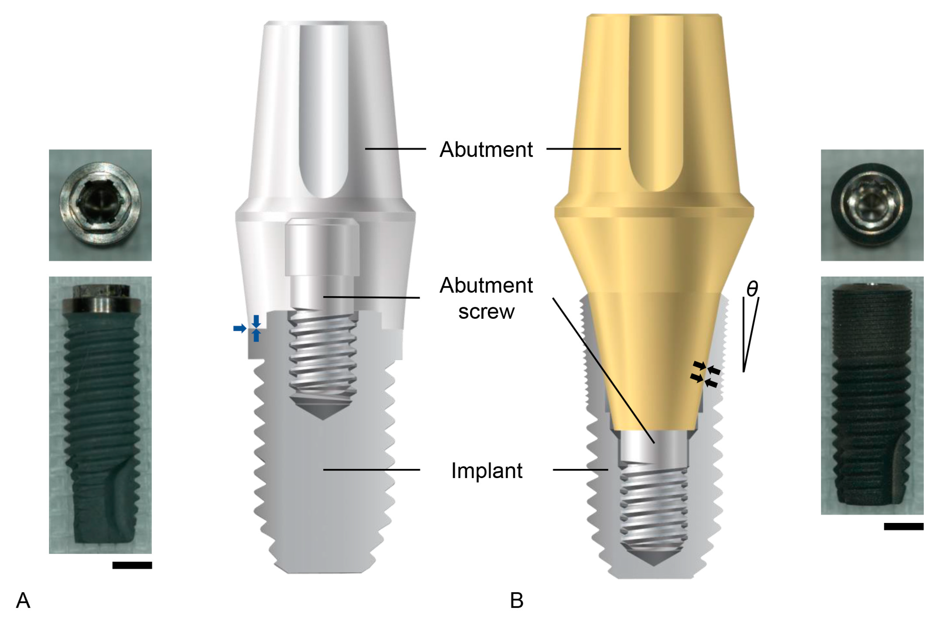 Dental Connection On Poplar