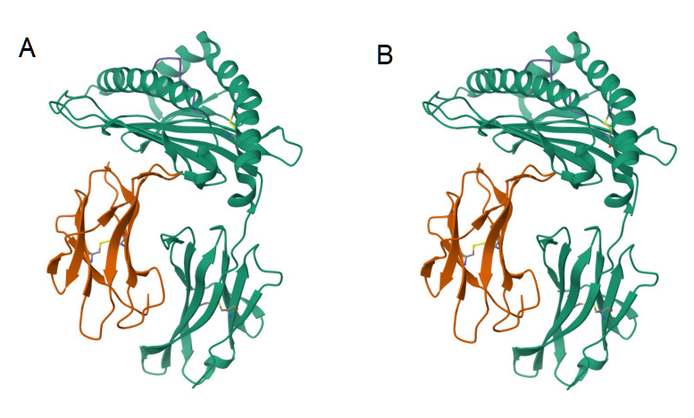 Comparative Method for Measuring Peptide Structure | Encyclopedia MDPI